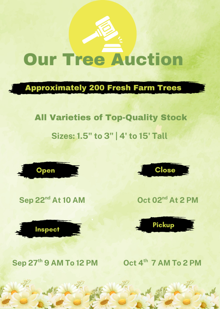 Auction – Kahnke's Tree Farm