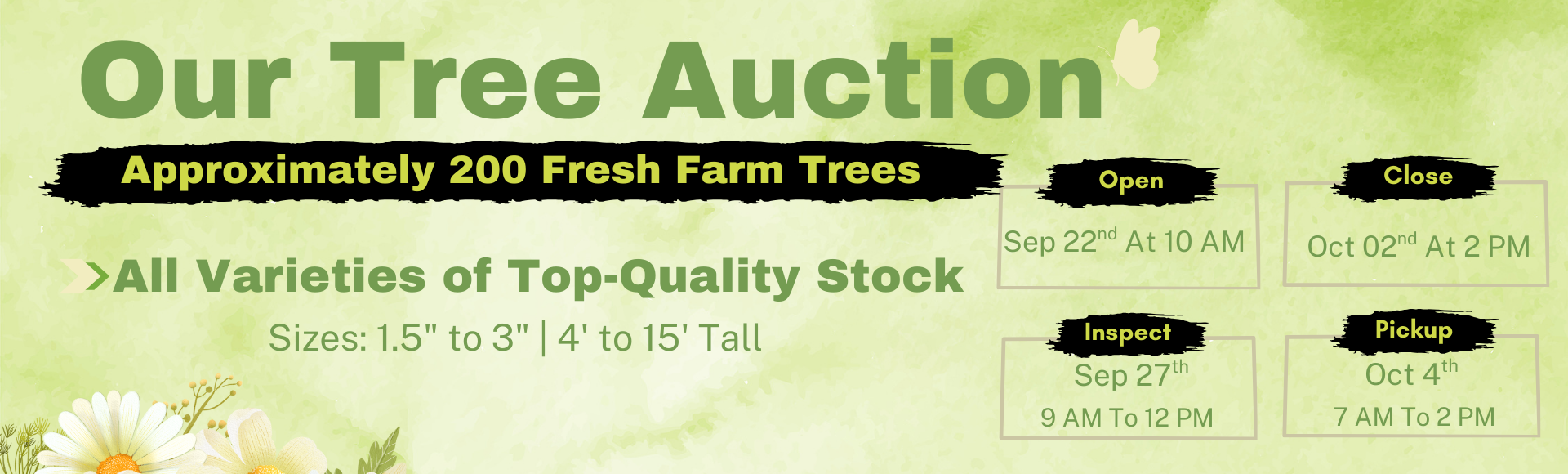 Kahnke's Tree Farm